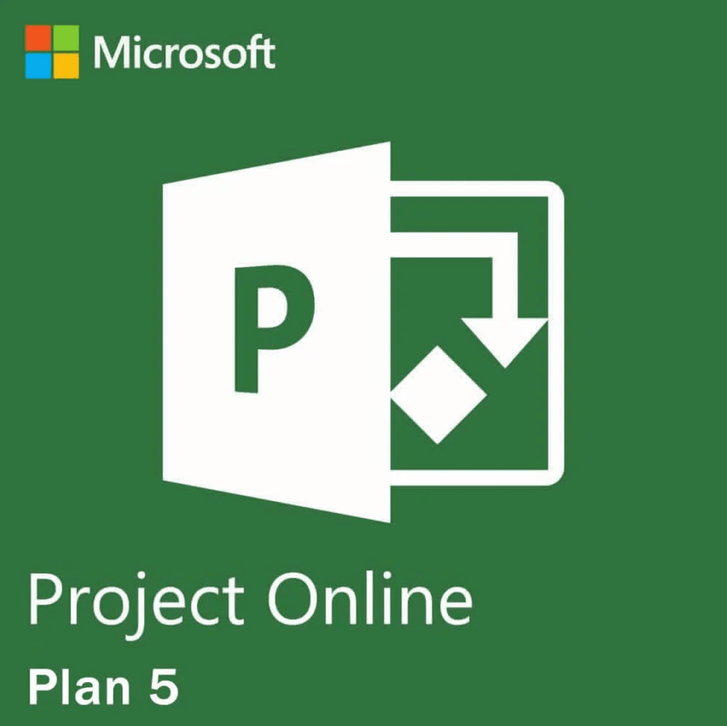 Microsoft Project Plan 5