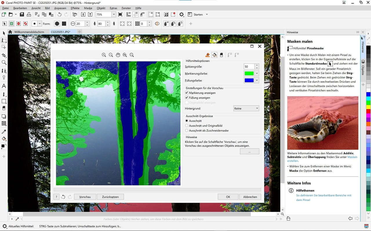 Coreldraw Graphics Suite 2020 CorelDRAW Graphics Suite 2020 Free
